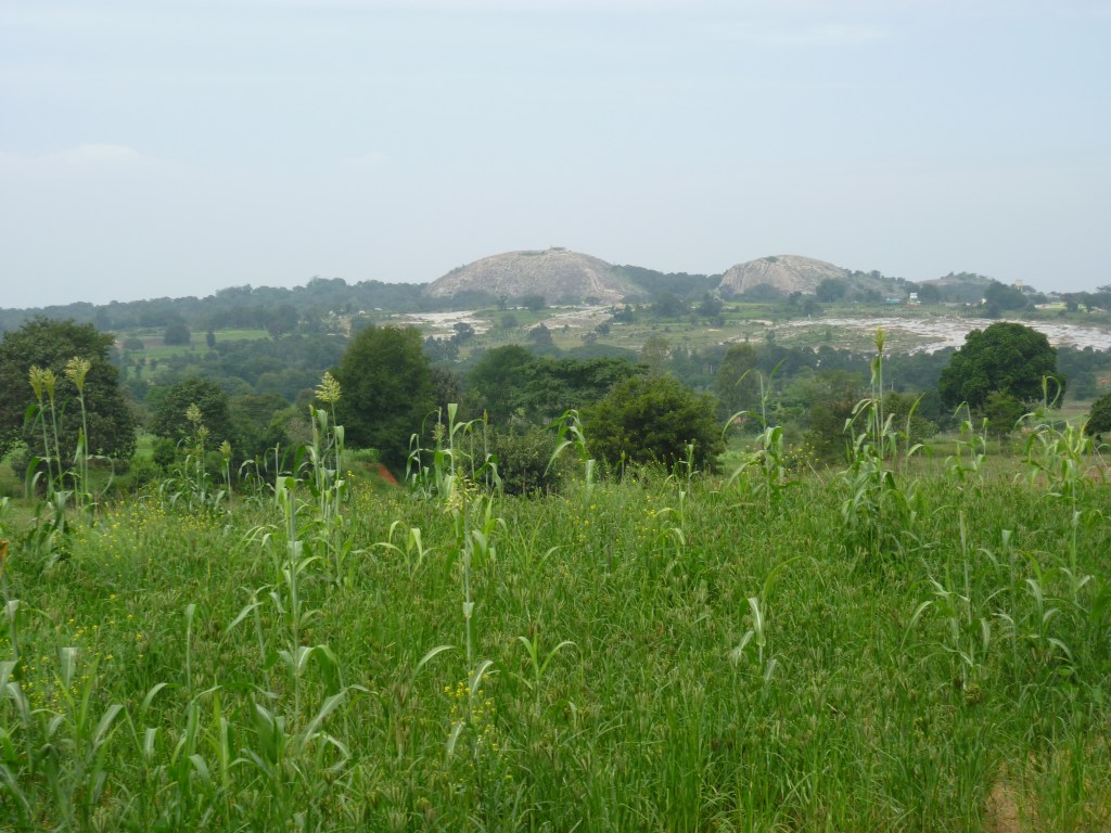 Thally- The little England of Tamil Nadu | The Lost Lander