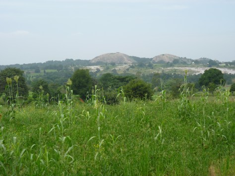 Thally- The little England of Tamil Nadu | The Lost Lander