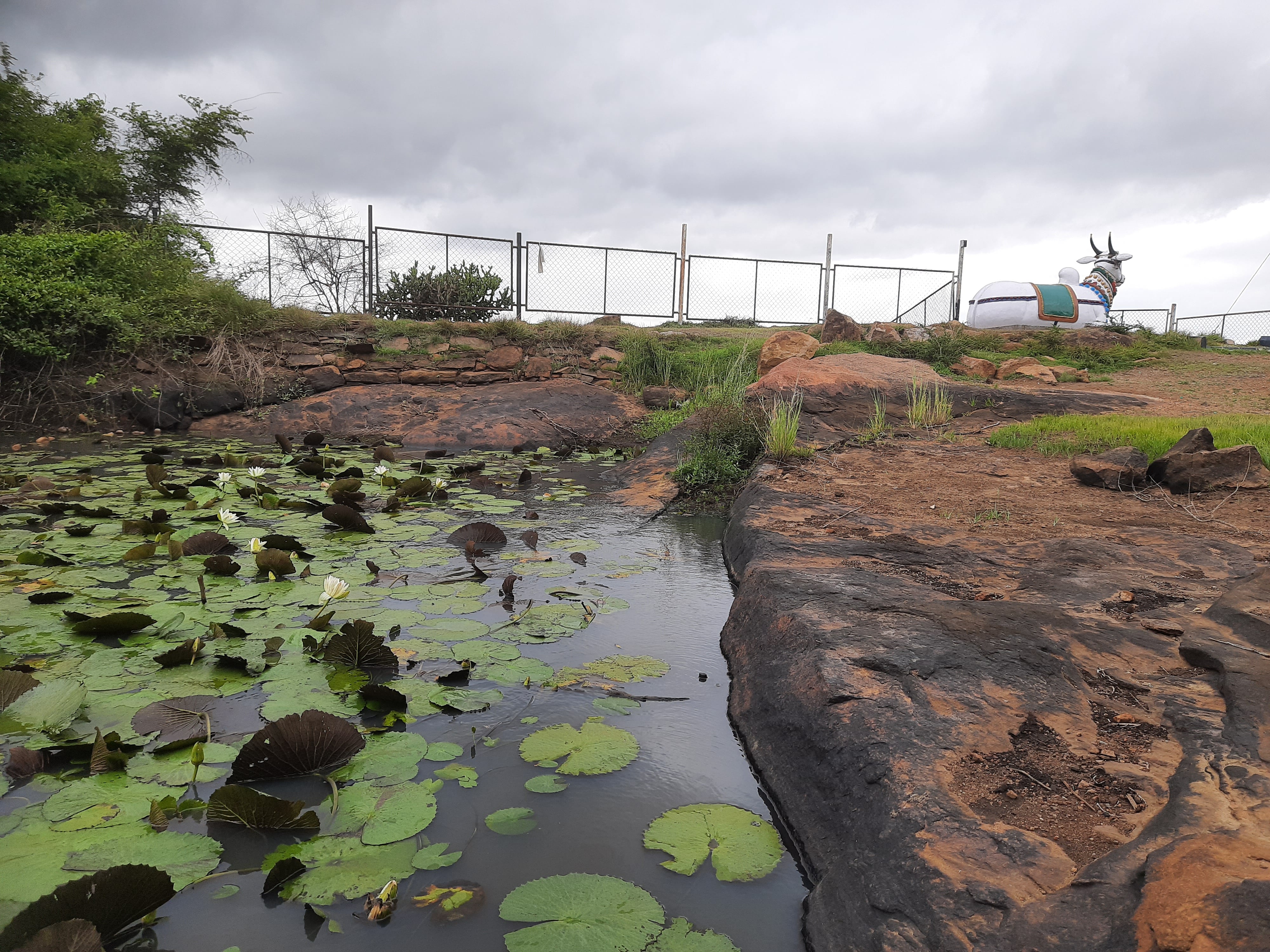 Day hike from Bengaluru- Acchalu betta | The Lost Lander
