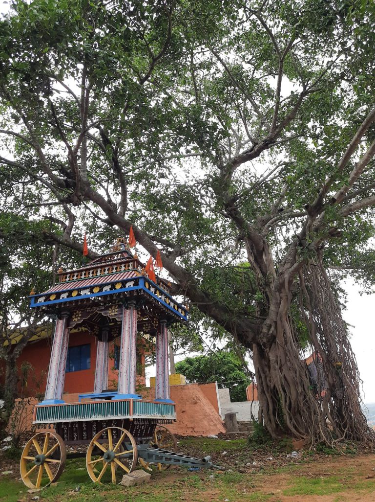 A weekend hike from Bengaluru- Akkayammana Betta | The Lost Lander